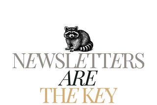 Raccoon Literary Gems | Substack