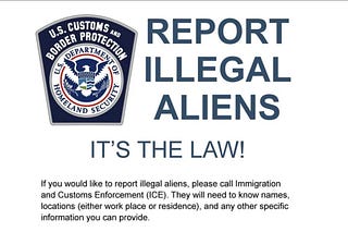 Behind Groomer Lines | Alex Detschelt | Substack