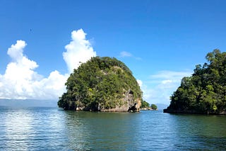 Writing With Addi | Addissyn House | Substack