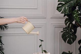 Sorte no Jogo | Vanessa Souza | Substack