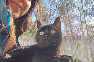 Turning Down the Noise | Caitlin McGill | Substack