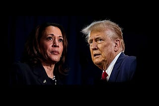 Quantus Polls and News | Substack