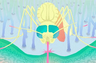 Scientific Discovery | Saloni Dattani | Substack