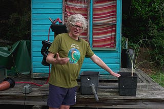 Organic Pools by David Pagan Butler | Substack