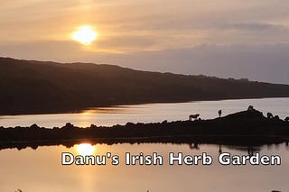 Danu's Irish Herb Garden Substack | Substack