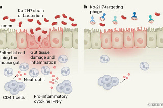 Atomic IBD | Charlie Lees | Substack