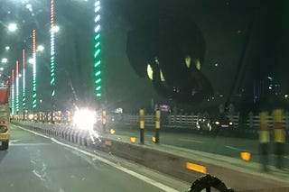 Amrita’s Newsletter | Amrita Rai | Substack