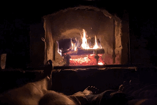 Gulp | Jonah Slakes | Substack