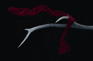 Cuckolding Life | The Sub Scribe | Substack