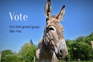 Friends in DC | JoAnn Chateau | Substack