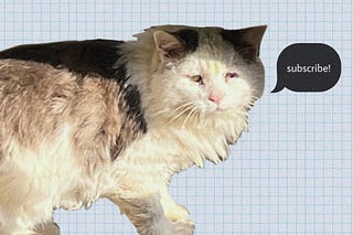 more moing | Rowan Amelia | Substack