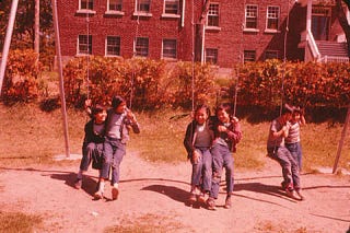 Brian Giesbrecht's Newsletter | Substack