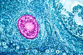 Fifty Years News | Substack