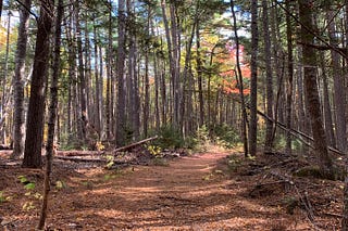 Entrepreneurial Psychology | Luke DeCoste | Substack