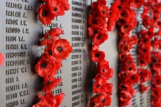 An Endless Education | Substack