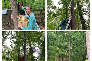 Zulie’s Book Report | Zulie Rane | Substack