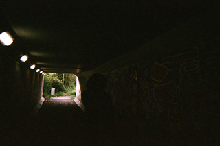 Scorpio Risings | millie | Substack