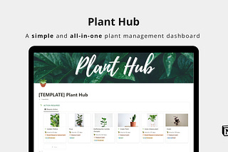 Notionery | Substack