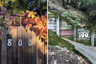 Ground Condition | Kelsey Keith | Substack