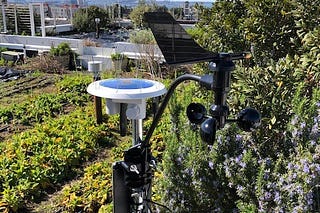 The DirtSat Newsletter | Christine Tiballi | Substack