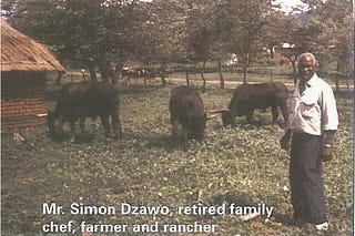 Peter Meakin’s Newsletter | Substack