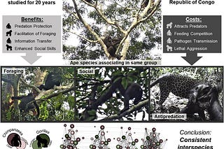 Primatology.net | Kambiz Kamrani | Substack