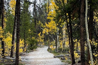 Joy | Taryn Speakman | Substack