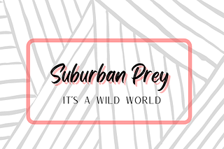 Suburban Prey | Alex | Substack