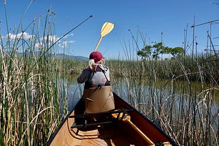 Love the Wild | Rick Lamplugh | Substack