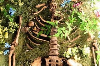 plants.fail | Kim | Substack