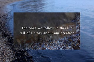 Everyone and I | Peter Tracy | Substack