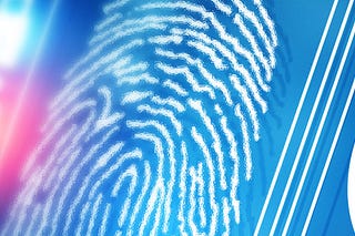 The New Accelerator | Substack