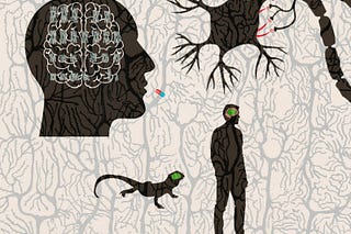 Neural Newsletter | Substack