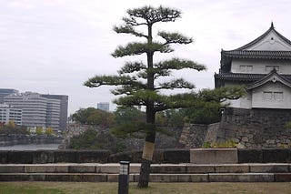 Archive - /dev/sustainability