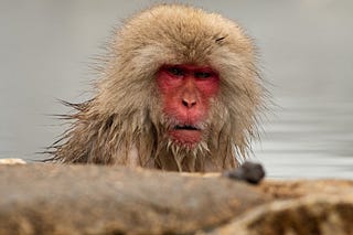 Civil Notion | Joel B. Stronberg | Substack