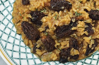 The Future is in Your Mouth | Vilda Gonzalez | Substack