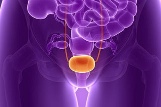 Fenbendazole Can Cure Cancer | Ben Fen | Substack