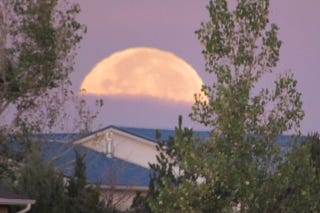 An Uncommon Correspondence | Jennifer Kay | Substack