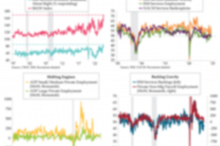 The Daily Feather | Danielle DiMartino Booth | Substack