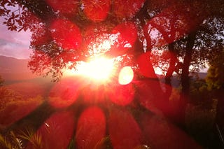 Biosafety Now | Substack