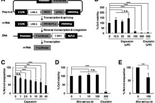 WMC Research | Walter M Chesnut | Substack