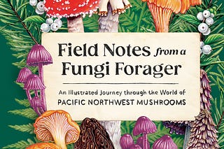 Fireside | Ashley Rodriguez | Substack