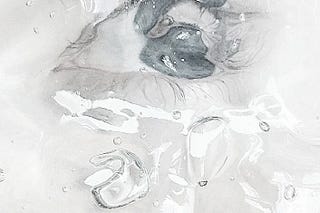 Remember Sunday | Tatiana | Substack