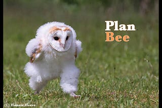 Samantha Bee | Substack