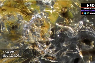 FM8’s Substack | Substack