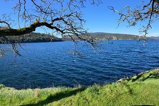 Welcome to Absurdistan | elizabeth nickson | Substack