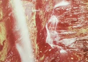 xpostfactoid | Andrew Sprung | Substack