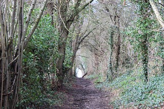 Nina Power | Substack