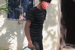 Gray Mirror | Curtis Yarvin | Substack