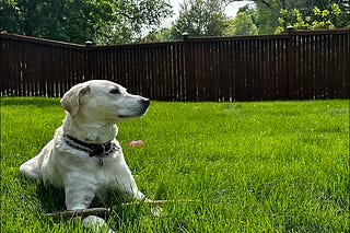 LILEKS (James) | James Lileks | Substack